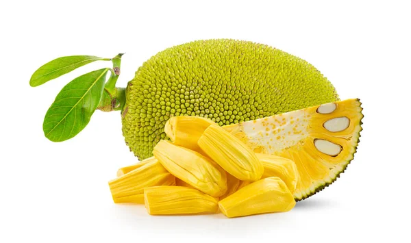 Project Report For Jackfruit Processing | Best Sharda Associates 2024