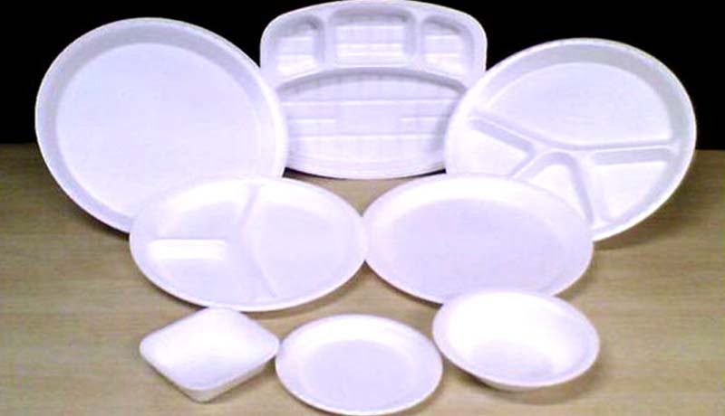 Project Report For Thermocol Plate Manufacturing | Best Sharda ...