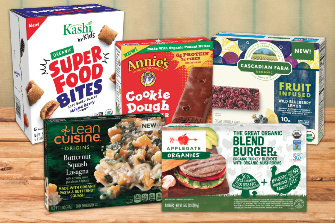 Project Report For Frozen Snack Food | Best Sharda Associates 2025-26