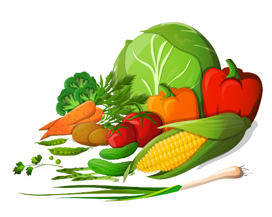 Detailed Report On Vegetable Oil || Sharda Associates 2023