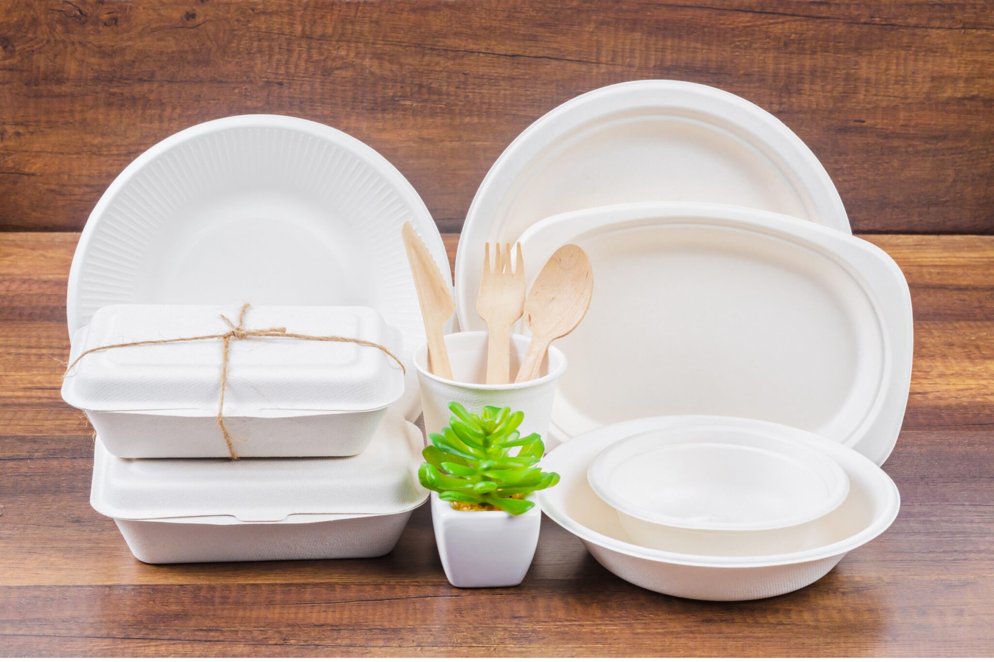 Detailed Report On Bagasse Disposable Products | Best Sharda Associates ...
