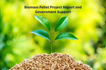 Biomass Pellet Project Report and Government Support | Best sharda ...