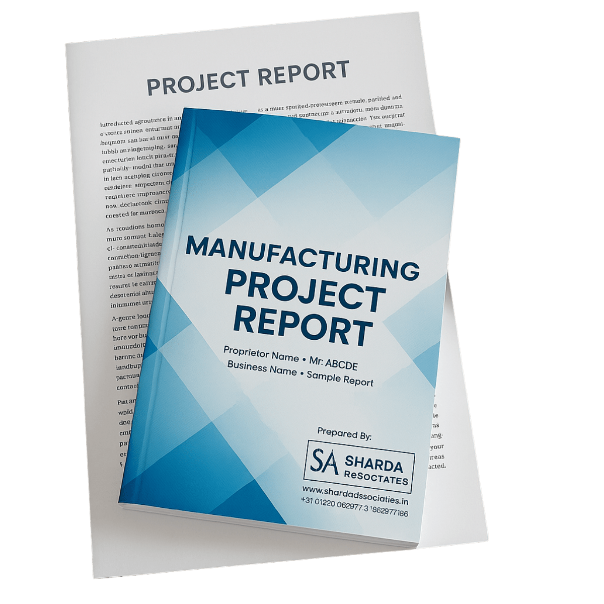 Other Project Report Services | Best Bank-Approved Project Report ...