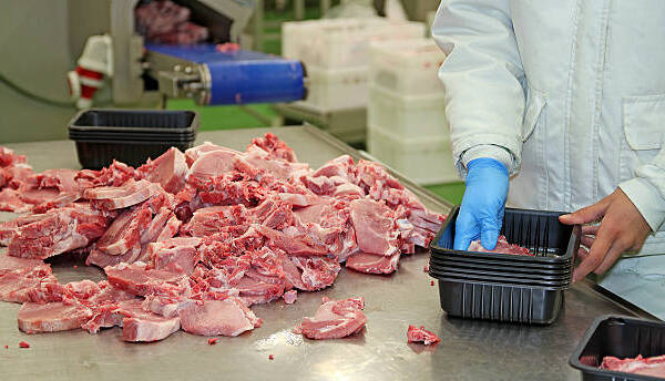 Project Report For Meat Processing Unit | Sharda Associates